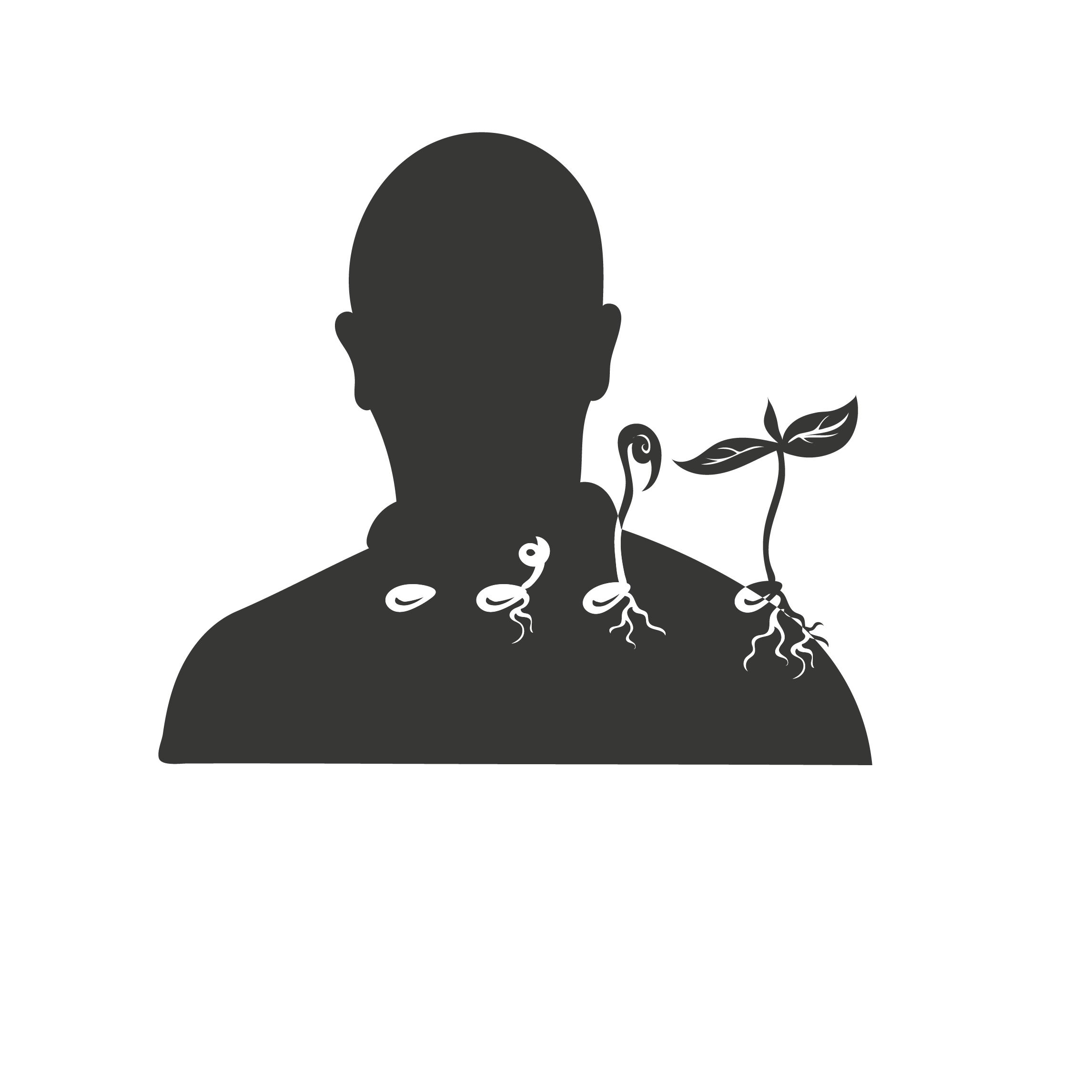 Augustin Sageret, LORRIS | Tourisme Loiret