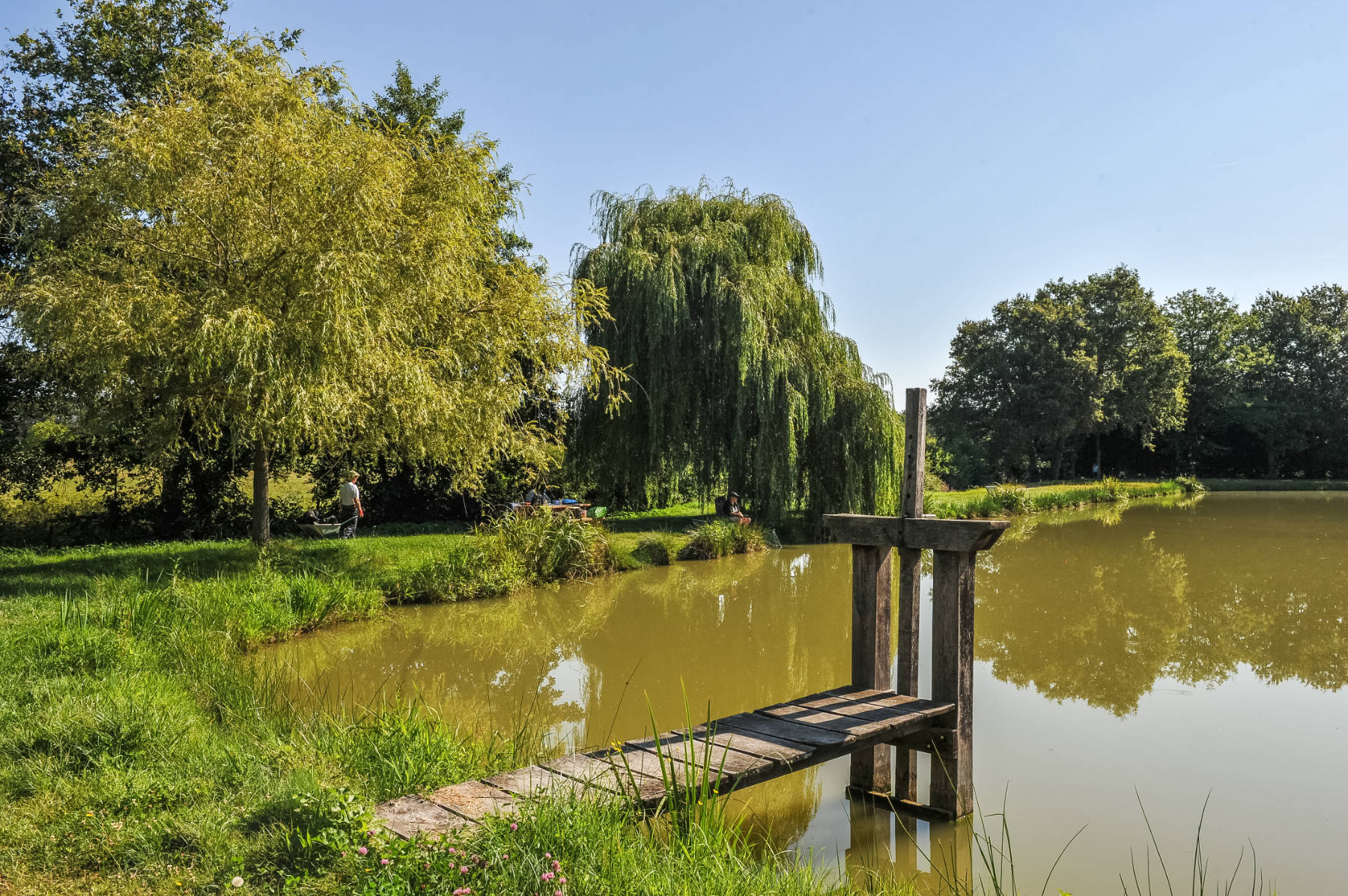 Aire de l'Étang route d'Olivet | Loiret balades